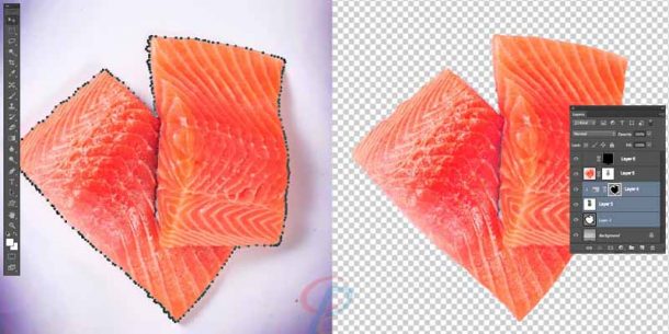 Professional Deep-Etching Service - Clipping Path Center Inc